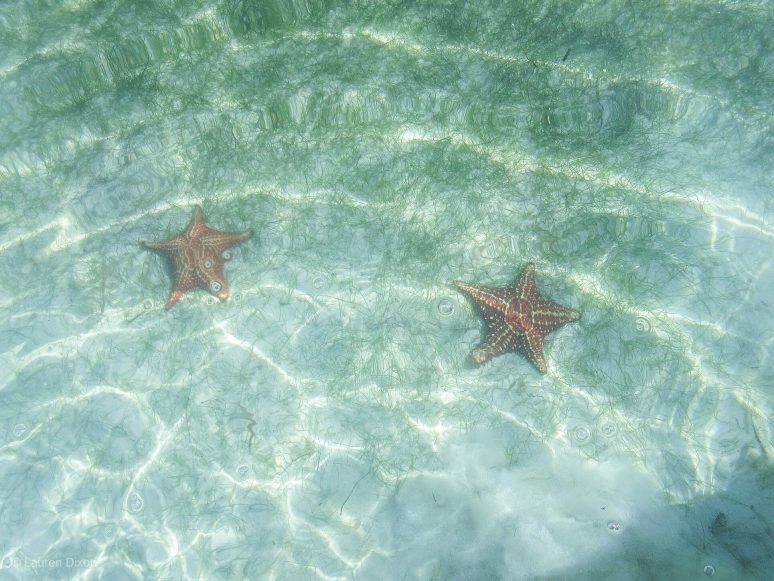 12 Things Not To Miss In Grand Cayman, Caribbean | We Are Travel Girls